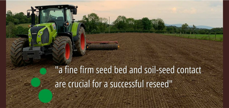 Management 101: Seeding Depth — CISCO Farm Seed