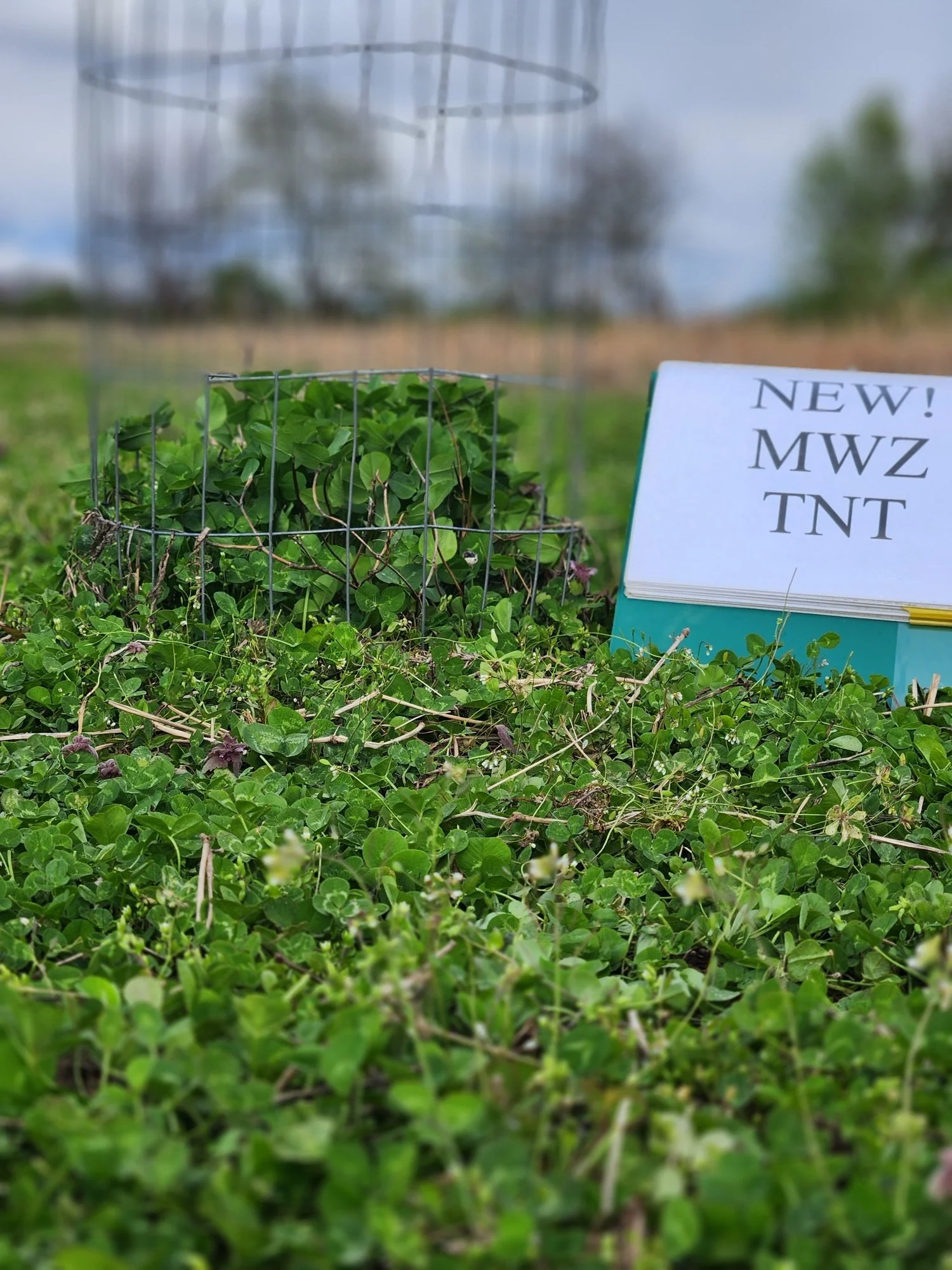 Wildlife — CISCO Farm Seed