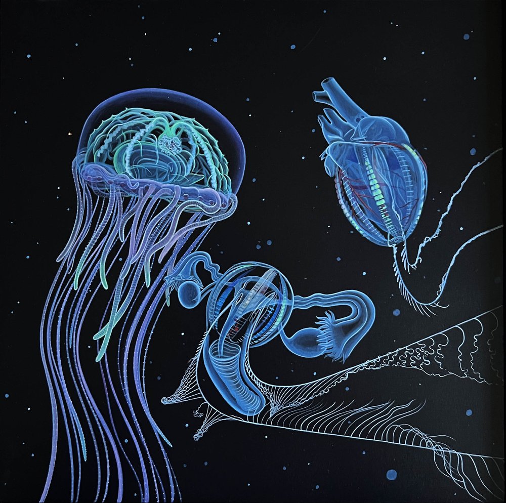 Jellyfish Anatomy