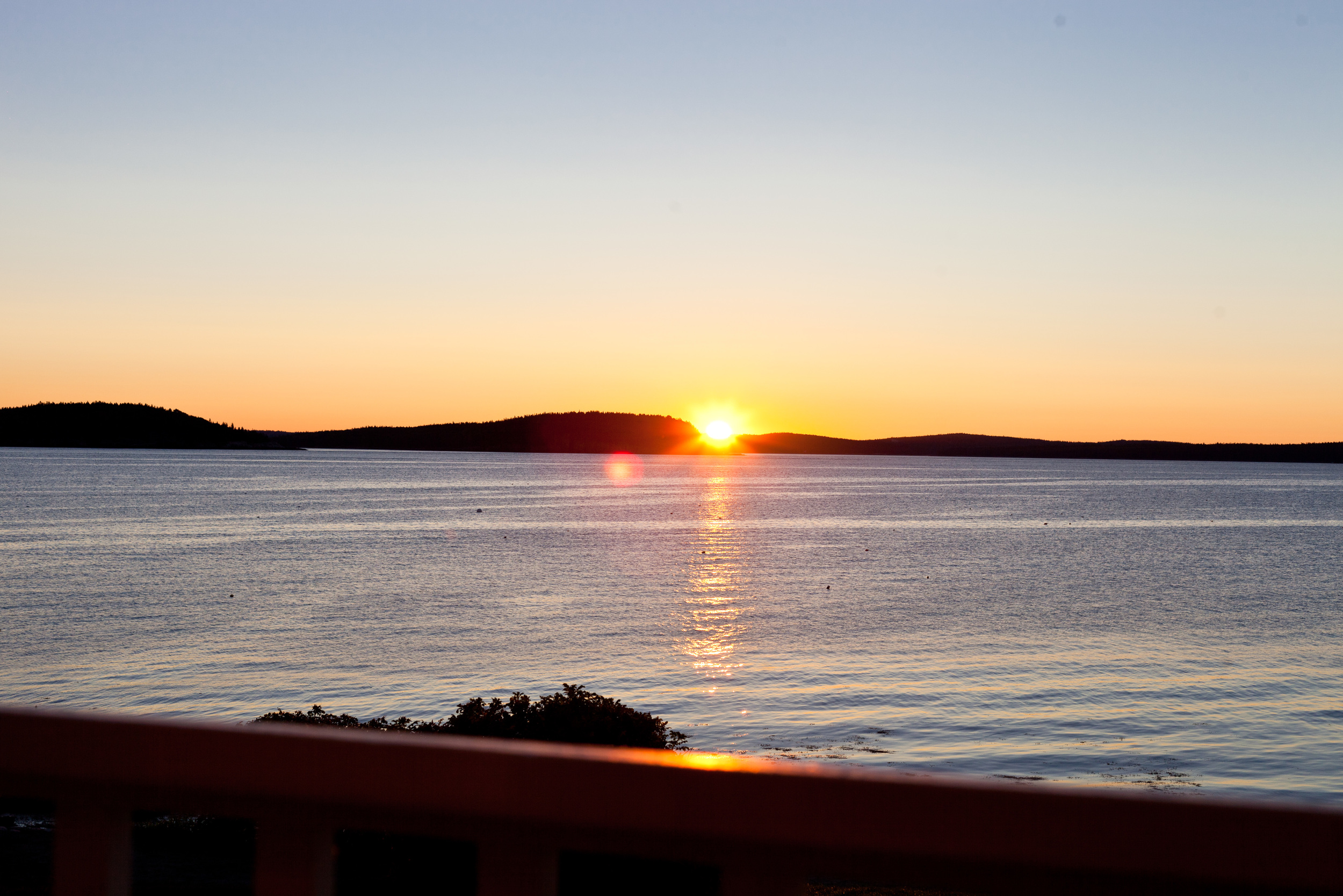 Curated Travel: 10 Must Do's In Bar Harbor Maine: Wild Blueberry Barren ...