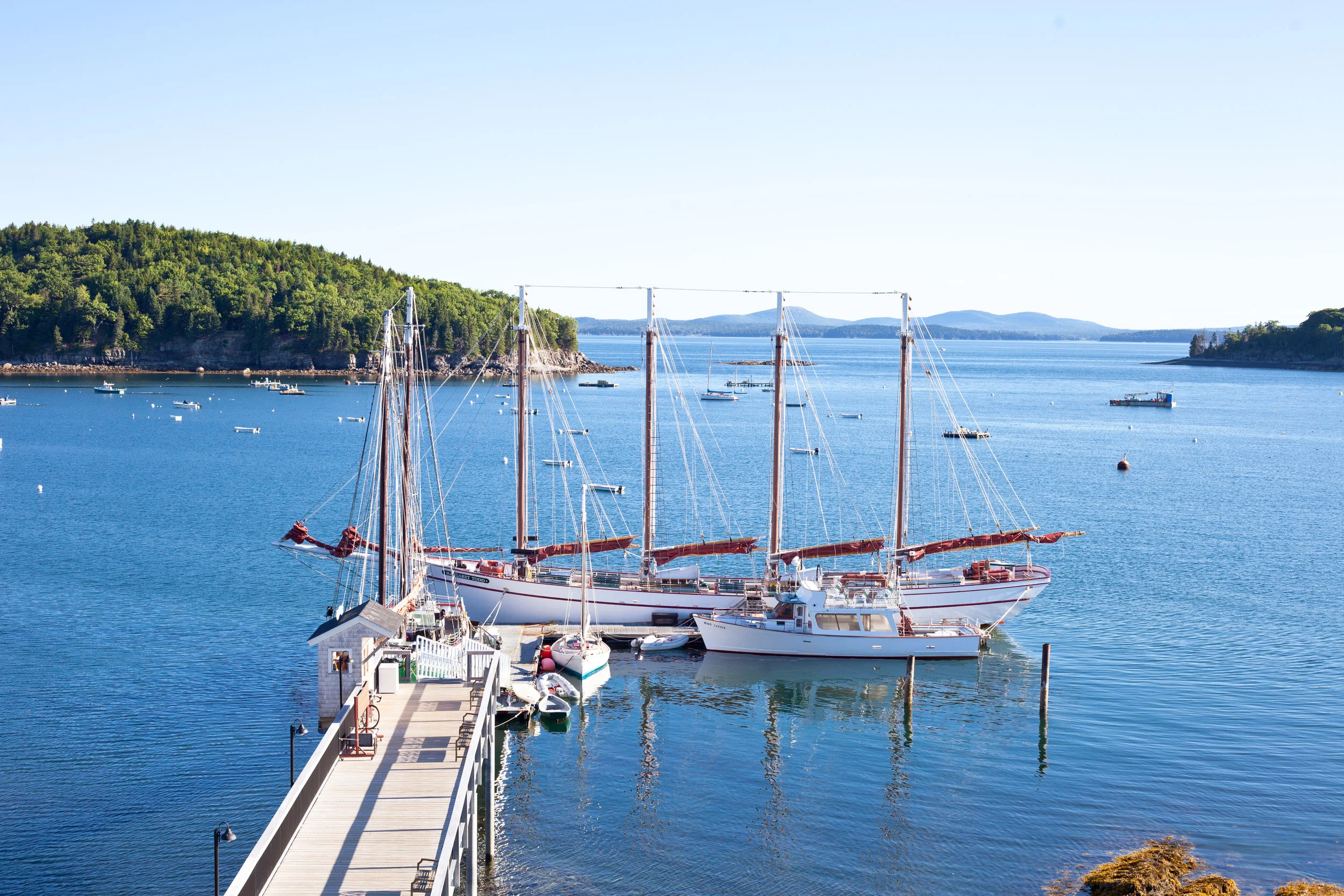 Curated Travel: 10 Must Do's In Bar Harbor Maine: Wild Blueberry Barren ...