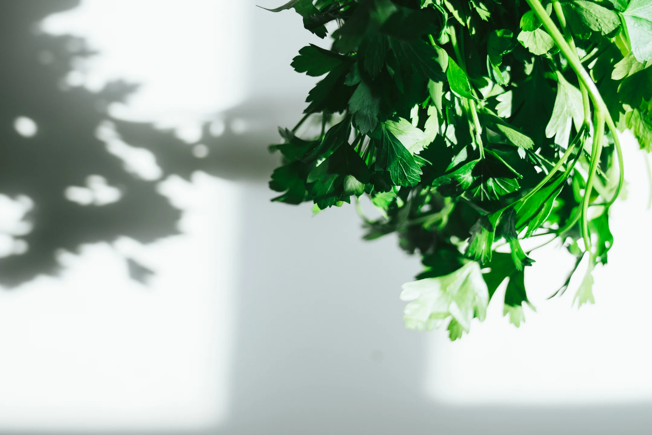 Winter Deconstructed Borscht Salad (But Better) — OhCarlene