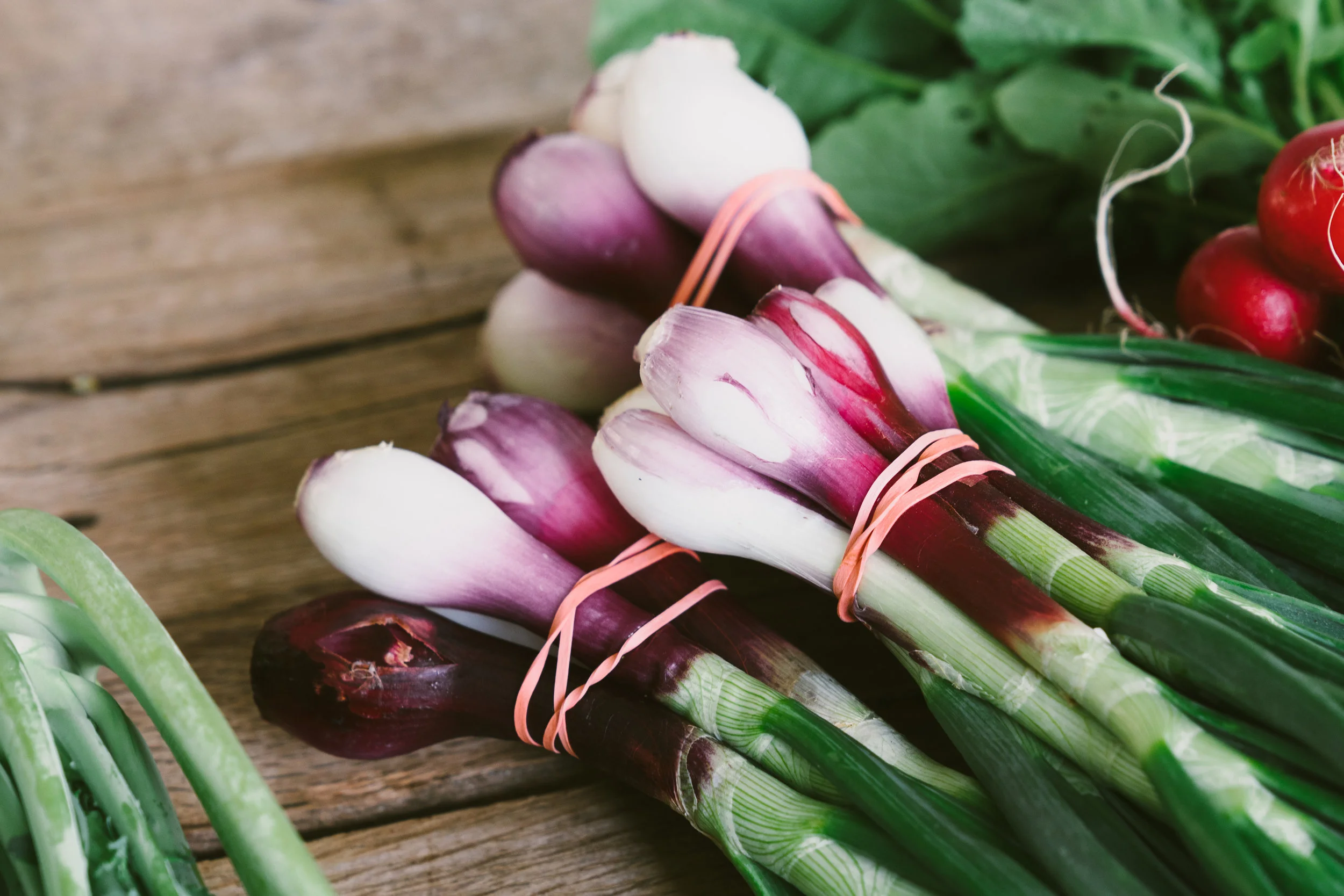 Food and Flowers: Spring Bulbs and Produce — OhCarlene