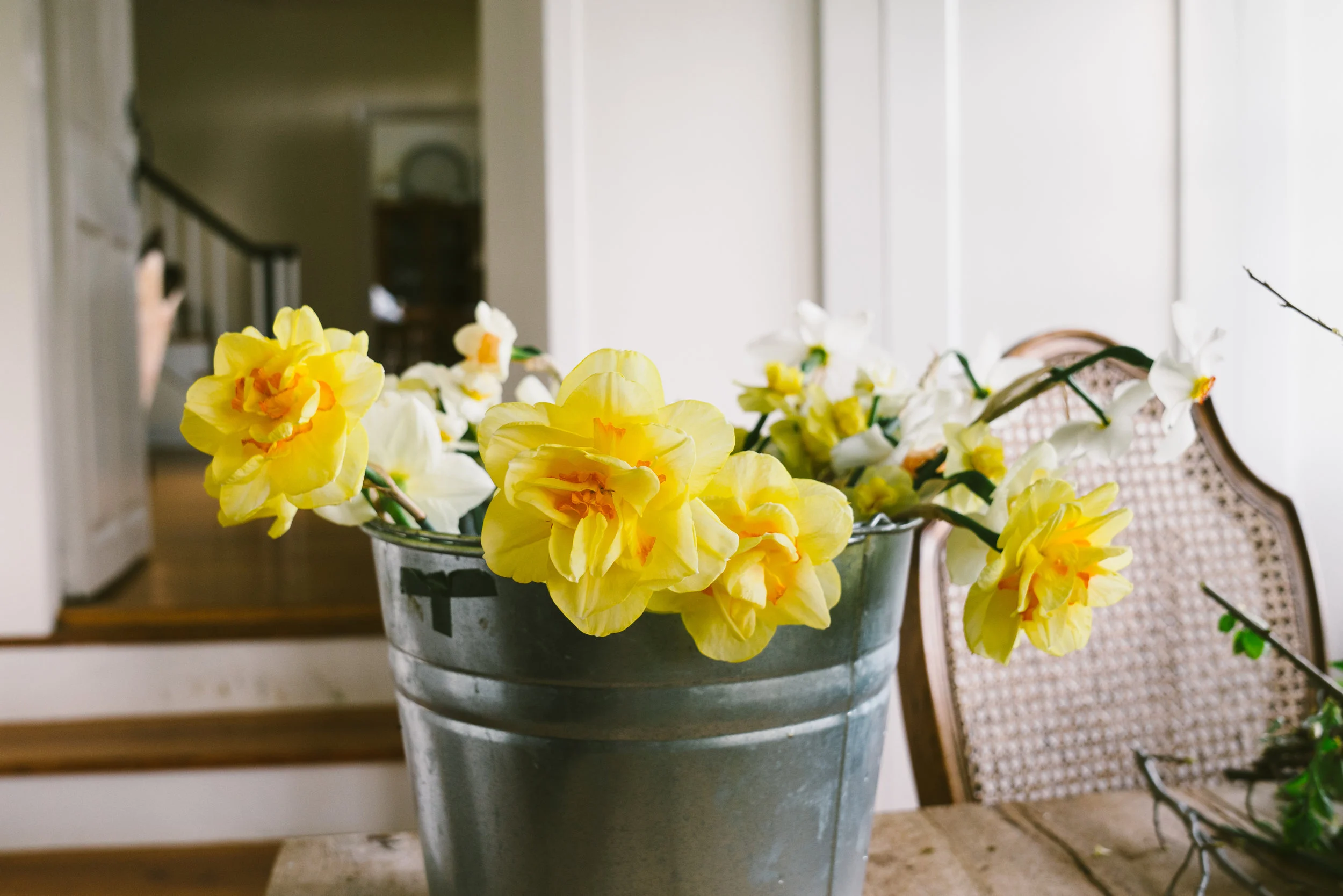 Food and Flowers: Spring Bulbs and Produce — OhCarlene