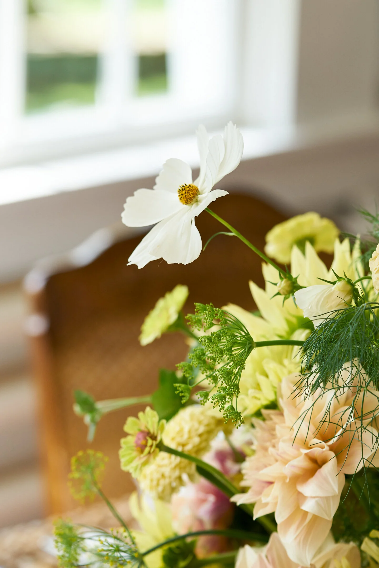 Food and Flowers: Using edible sunflowers, basil and tomatoes — OhCarlene