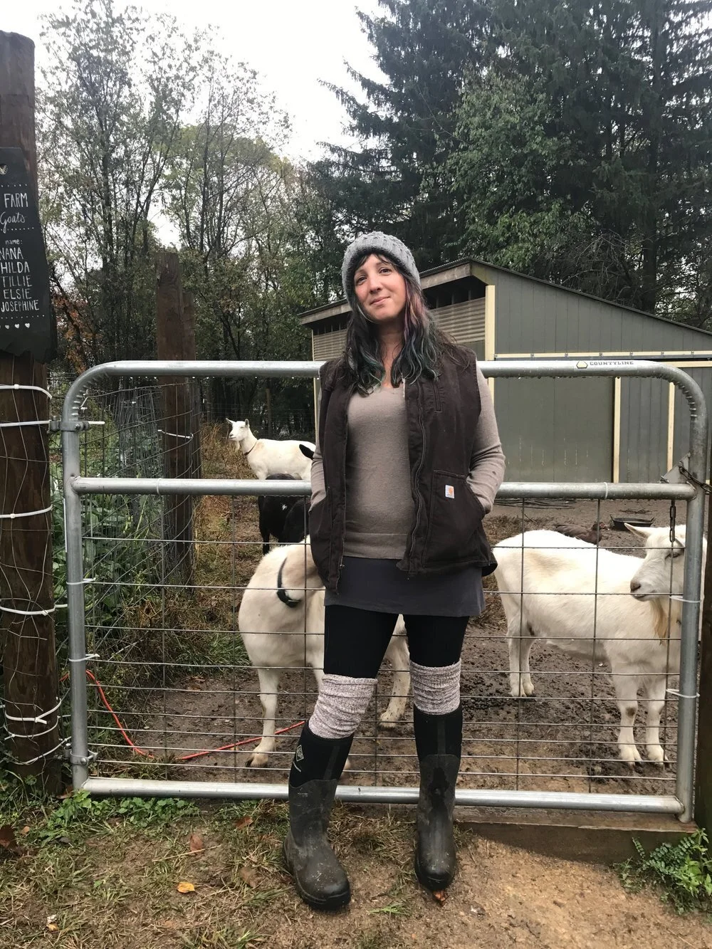 About Us — Churchview Farm