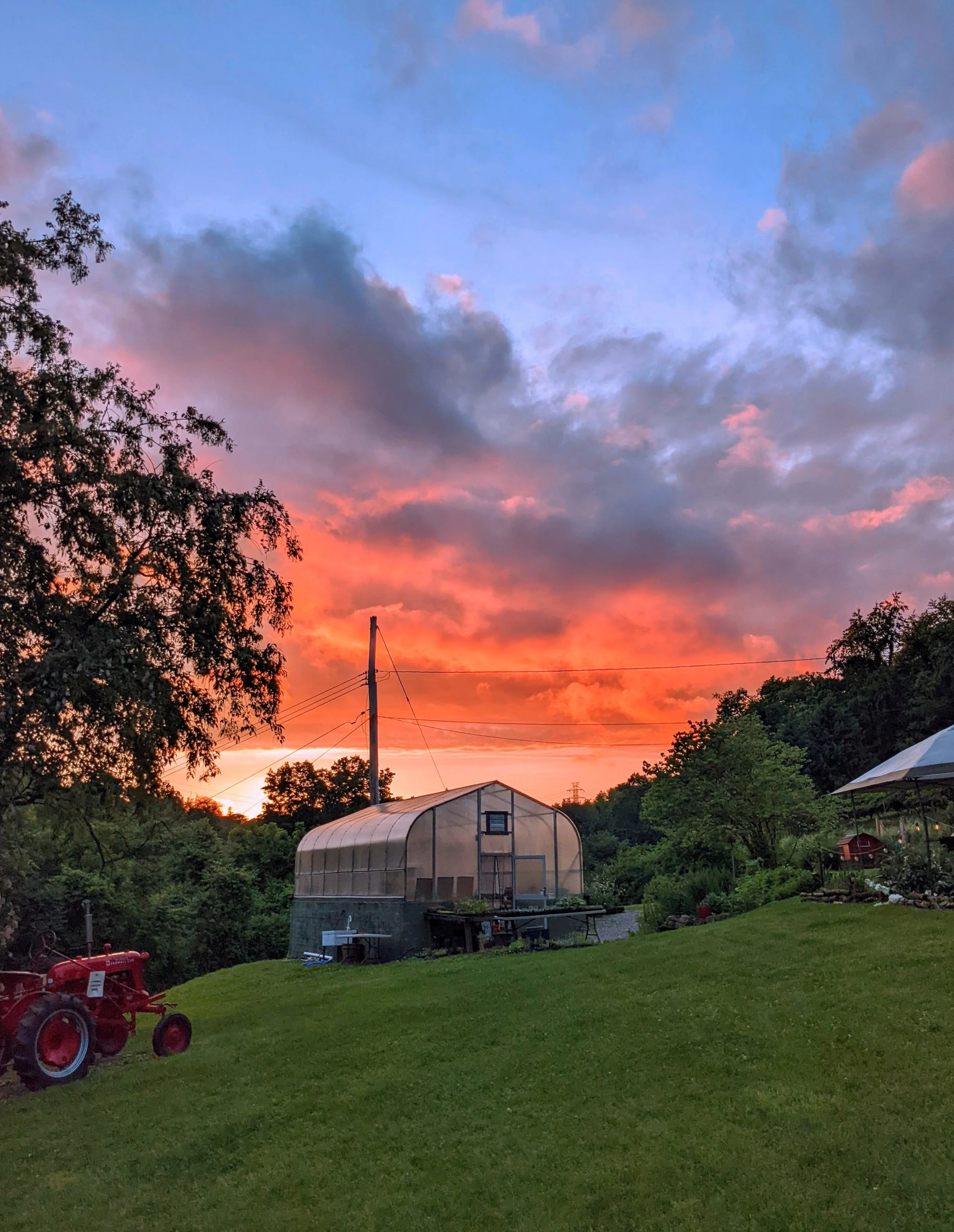 Celebrate With Us — Churchview Farm