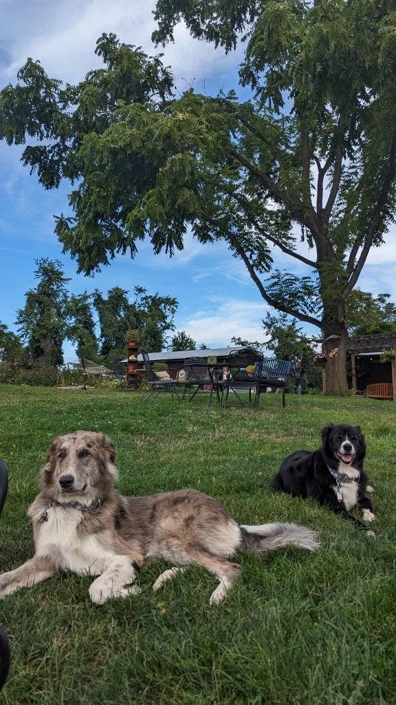 About Us — Churchview Farm