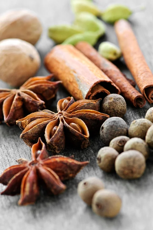 Strong Blood Equals a Strong You — Lovie Acupuncture and Healing
