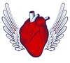 Strong Blood Equals a Strong You — Lovie Acupuncture and Healing