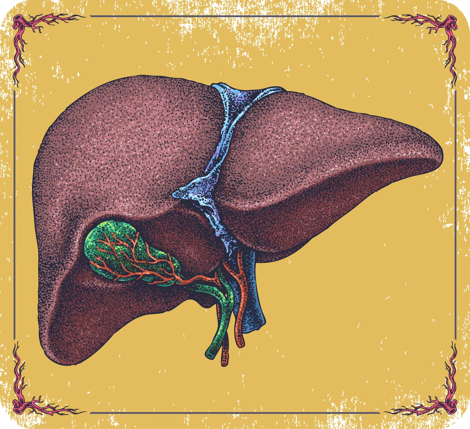 Spring Clean Your Liver — Lovie Acupuncture and Healing