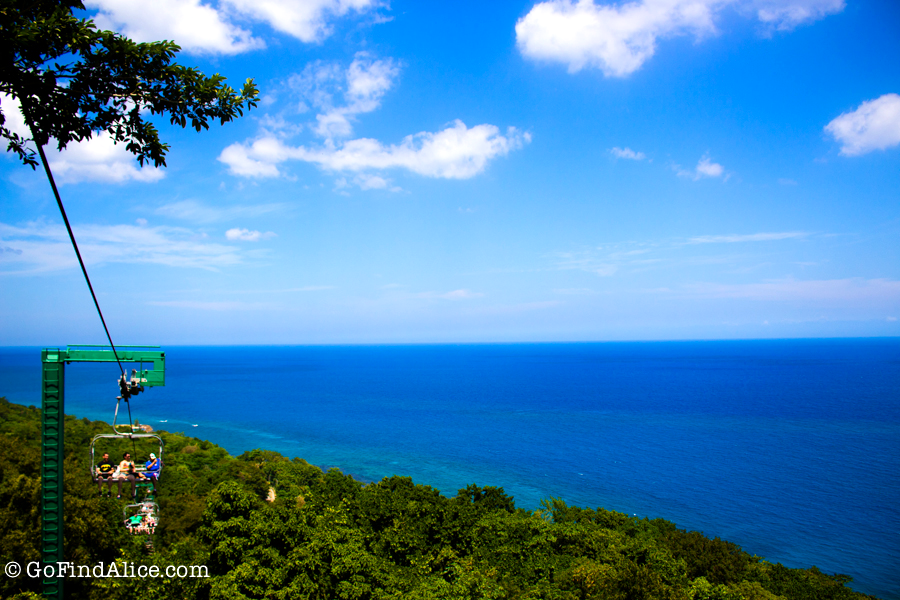 [Ocho Rios] Rainforest Bobsled Jamaica at Mystic Mountain — GO FIND ALICE