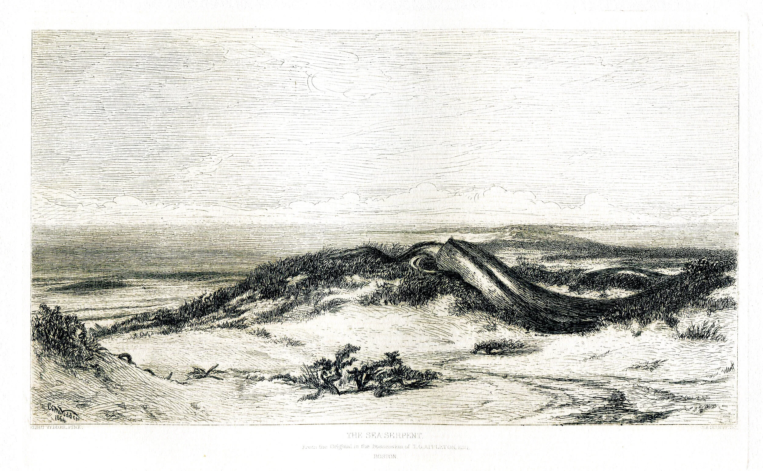 Stephen Alonzo Schoff ( 1818 - 1904) — Brier Hill Gallery