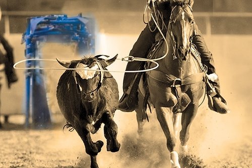 Farm, Livestock, Roping, and Ranch Equipment | FarmRanchStore.com