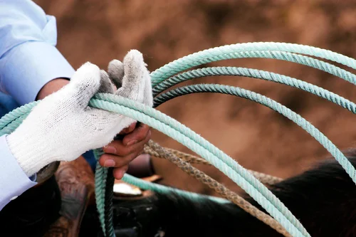 Farm, Livestock, Roping, and Ranch Equipment | FarmRanchStore.com