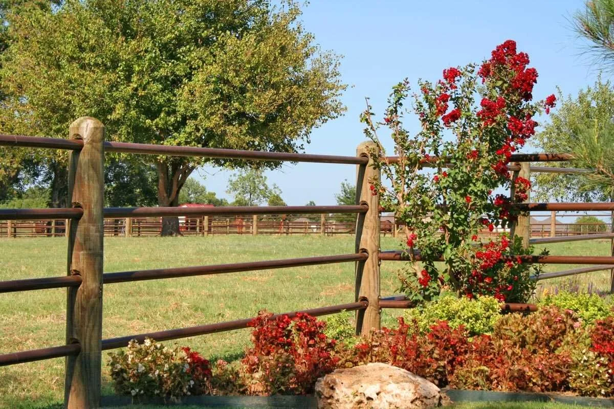 Farm, Livestock, Roping, and Ranch Equipment | FarmRanchStore.com