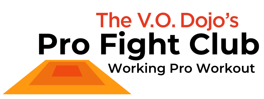 Programs and Belt Levels — The V.O. Dojo