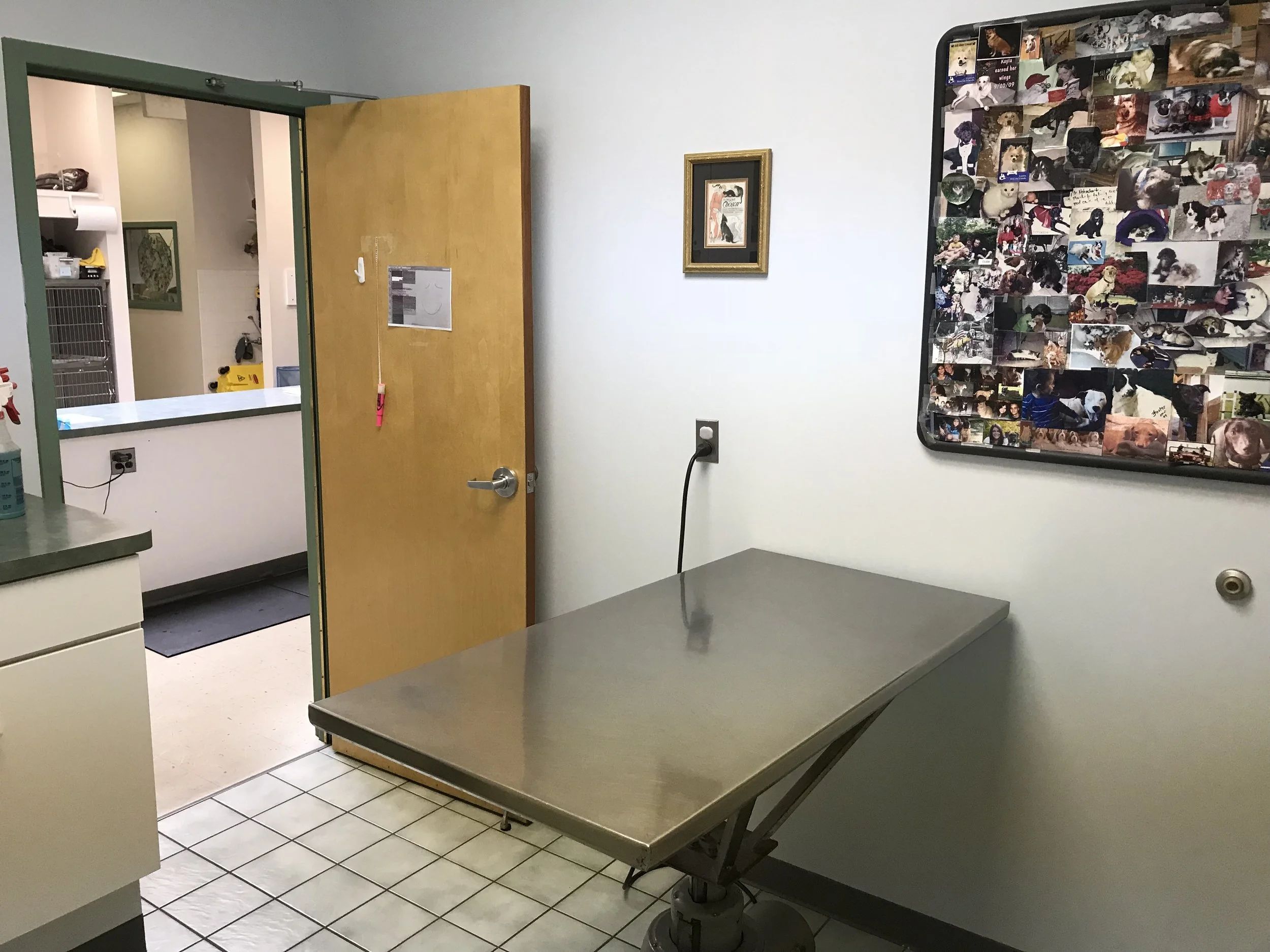About — Clifton Centreville Animal Clinic