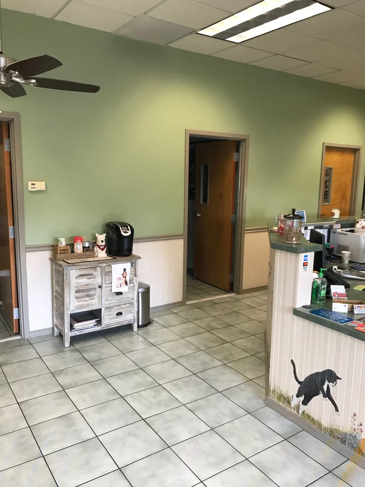 Clifton Centreville Animal Clinic