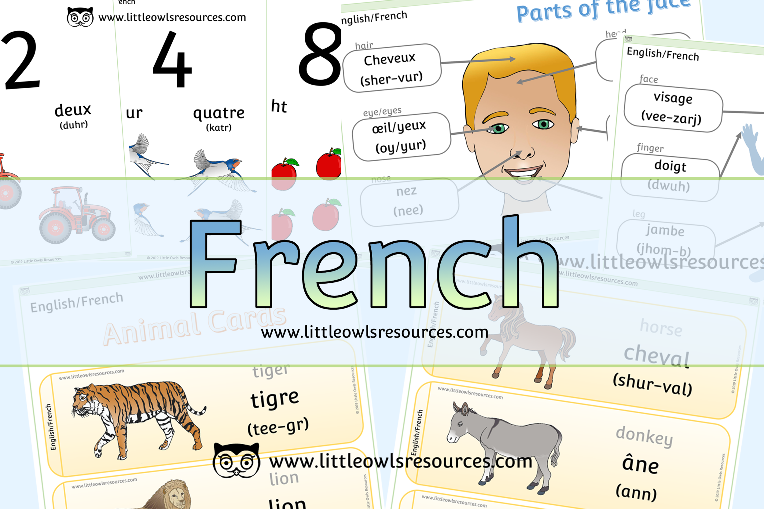 *DUAL LANGUAGE MENU* — Little Owls Resources - FREE