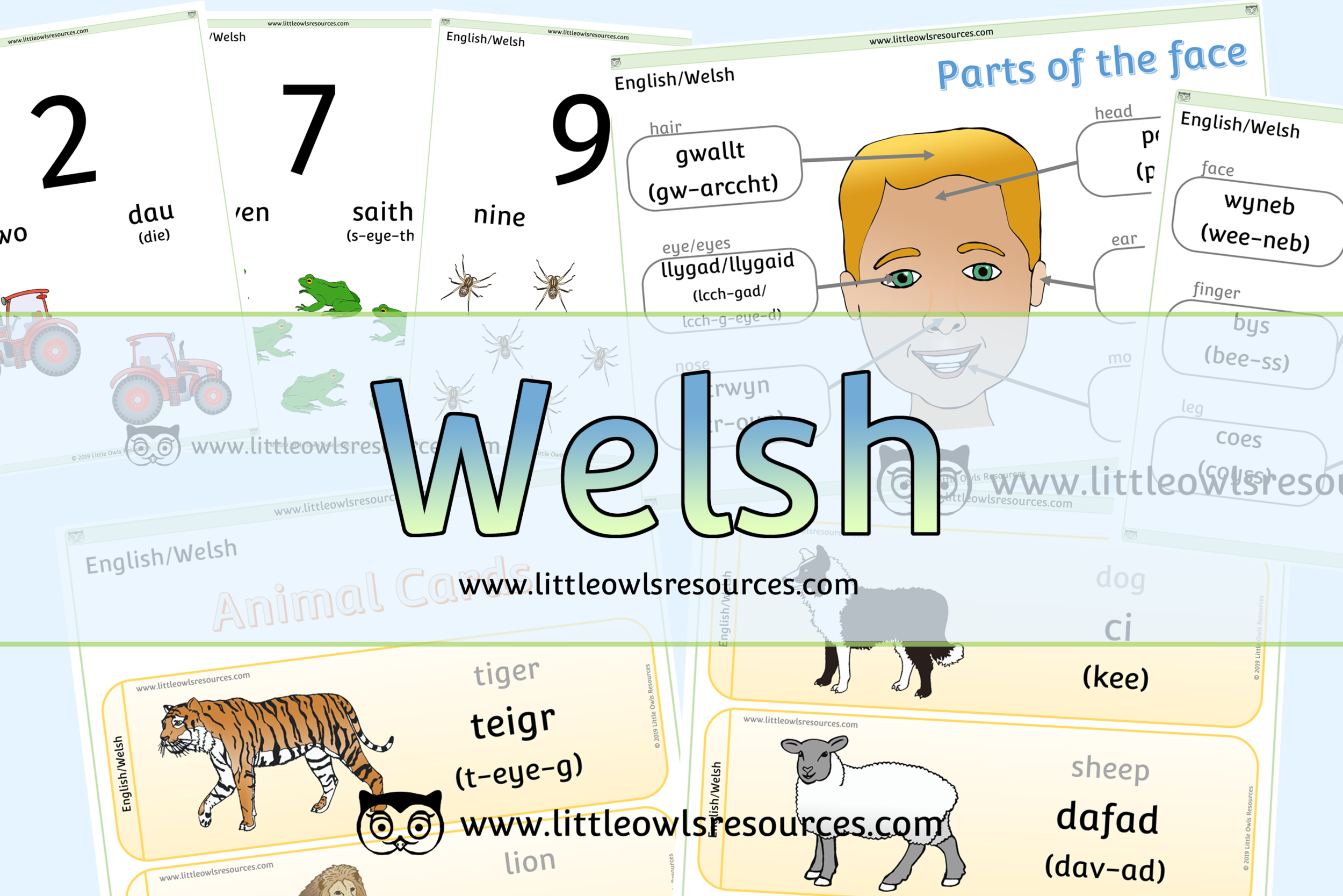FREE Welsh/English Dual Language printable Early Years/EYFS/Preschool ...