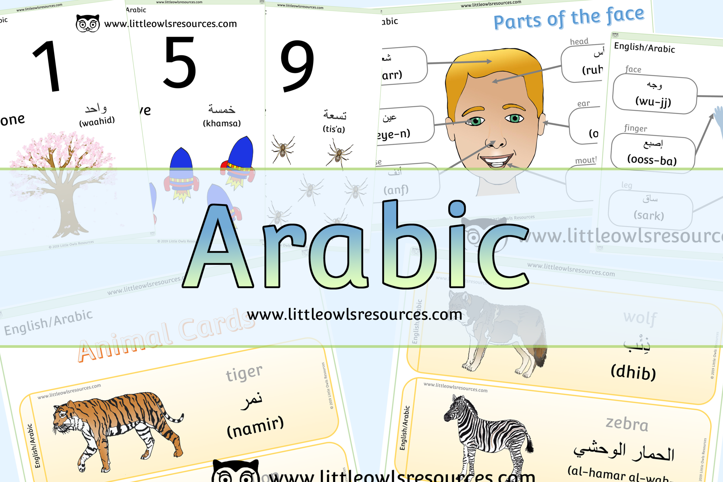 Arabic Language In English