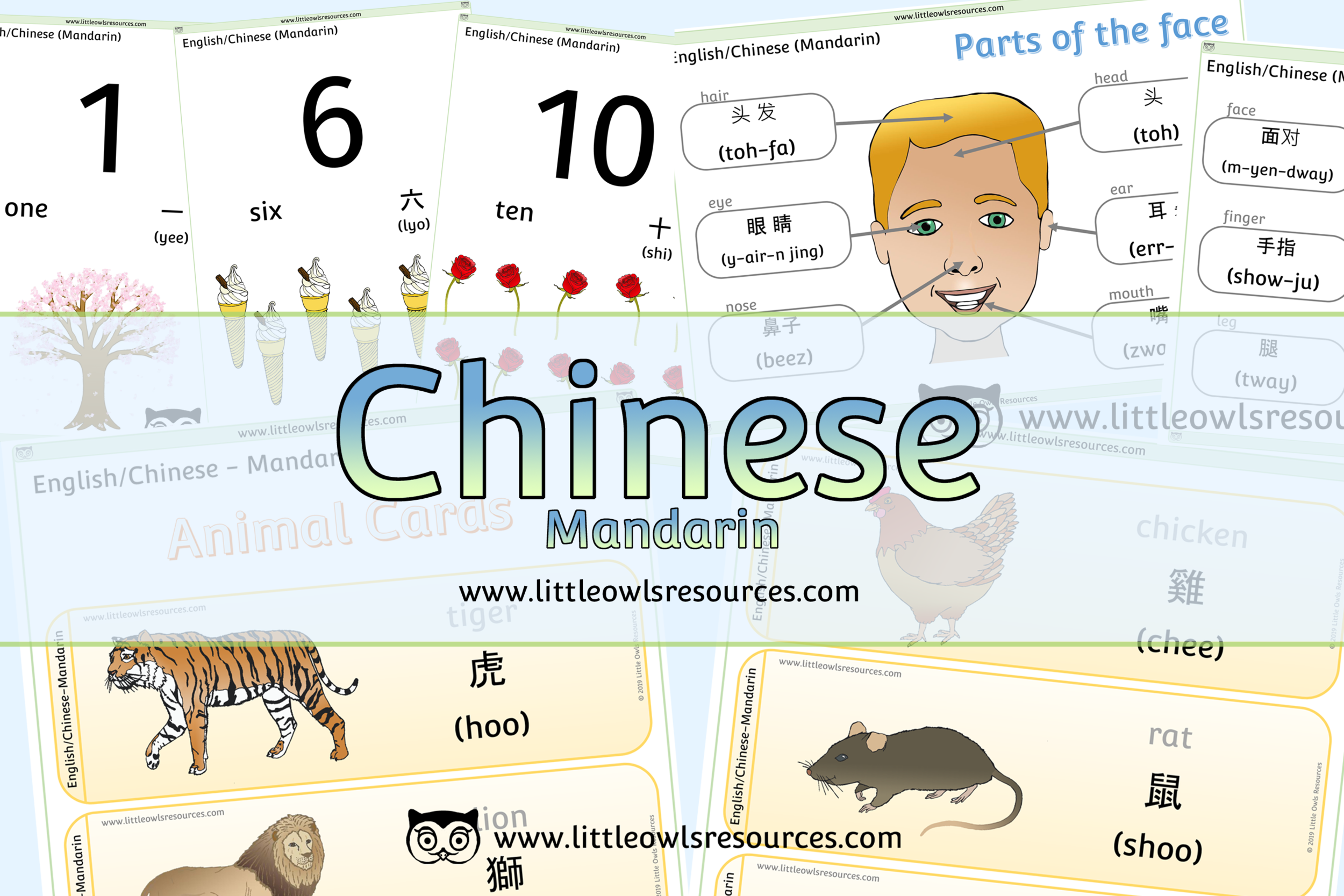 *DUAL LANGUAGE MENU* — Little Owls Resources - FREE