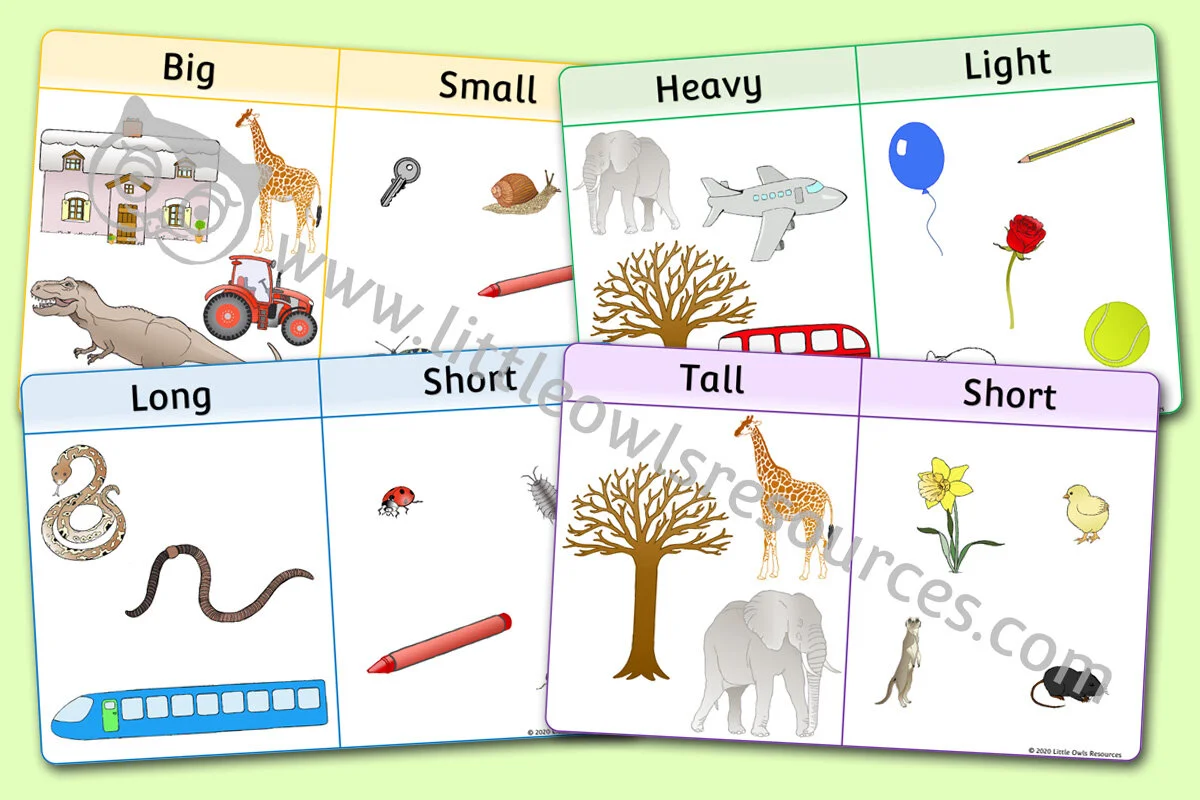 Size Comparison Posters — Little Owls Resources - FREE