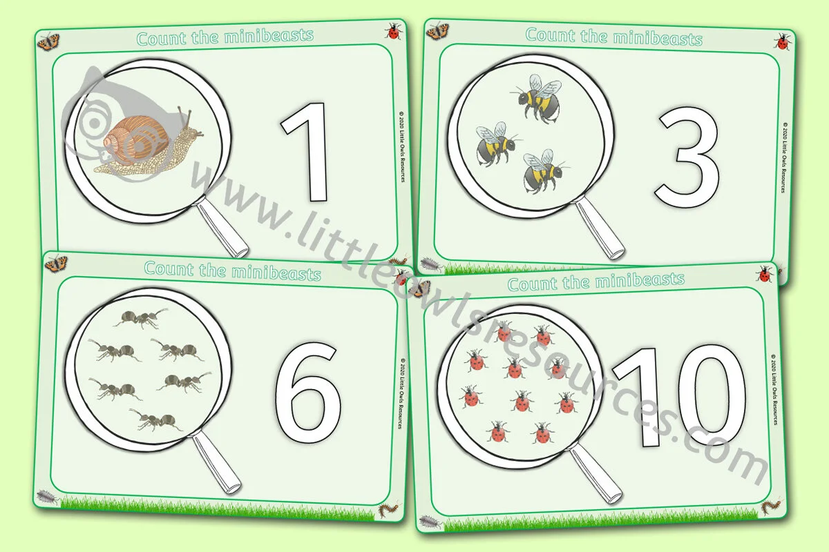 FREE MINIBEASTS printable Early Years/EY (EYFS) resources/downloads ...