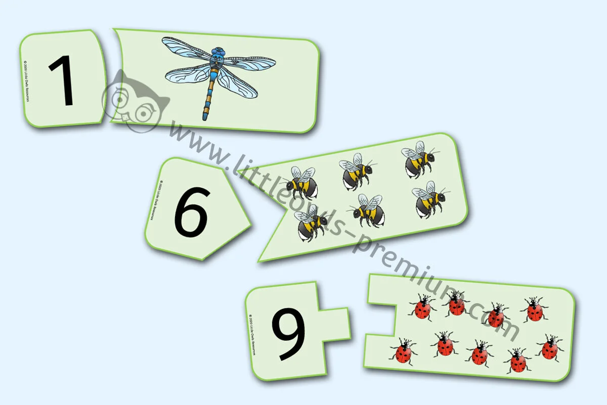 FREE MINIBEASTS printable Early Years/EY (EYFS) resources/downloads ...