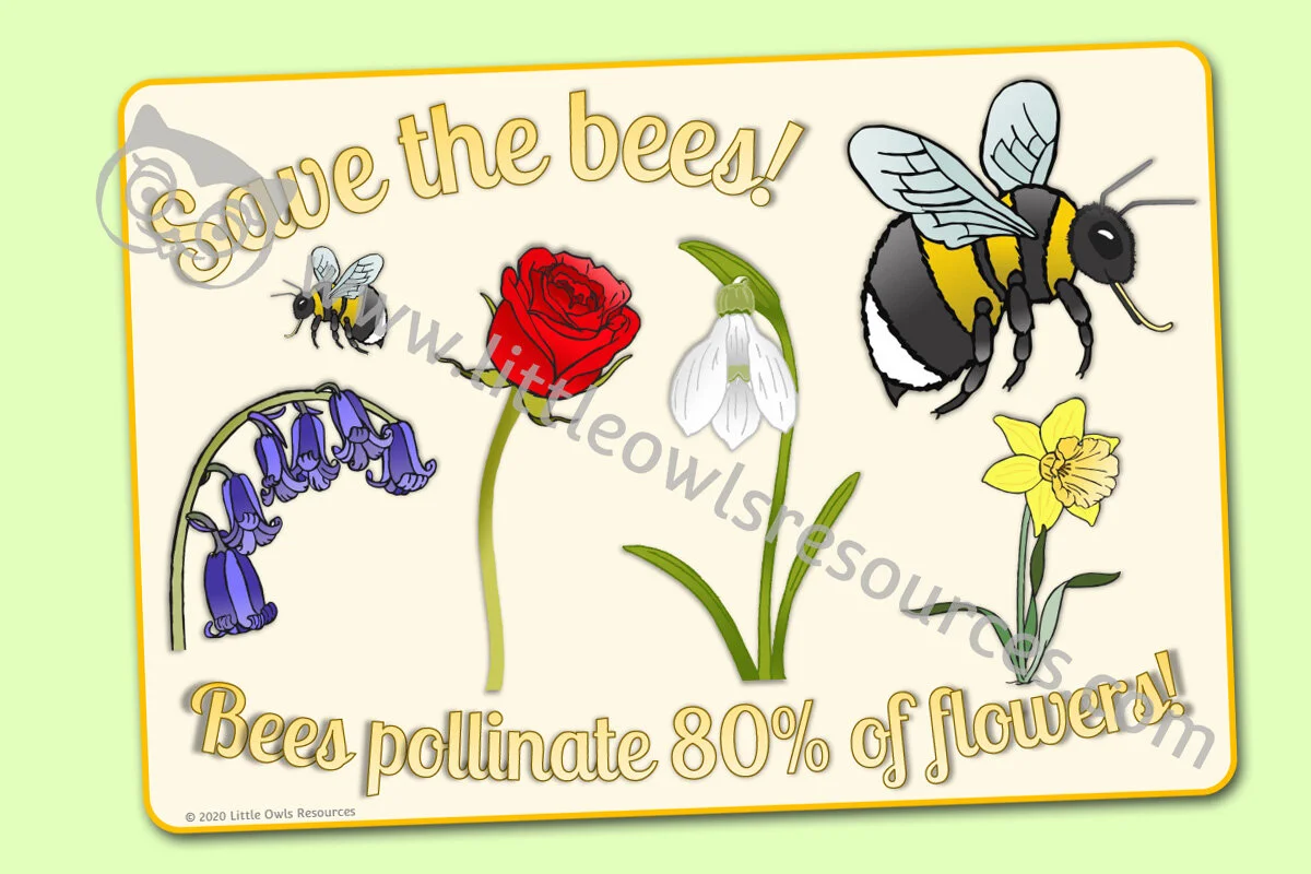 FREE MINIBEASTS printable Early Years/EY (EYFS) resources/downloads ...