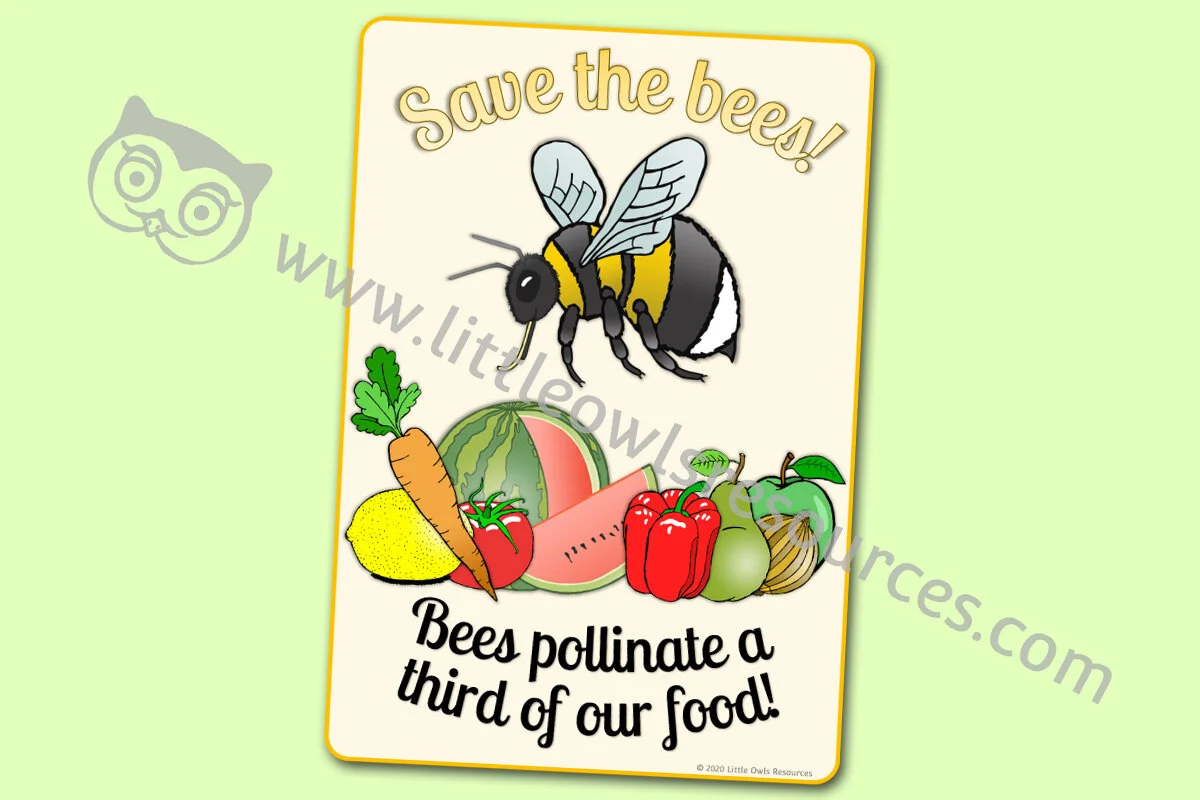FREE MINIBEASTS printable Early Years/EY (EYFS) resources/downloads ...