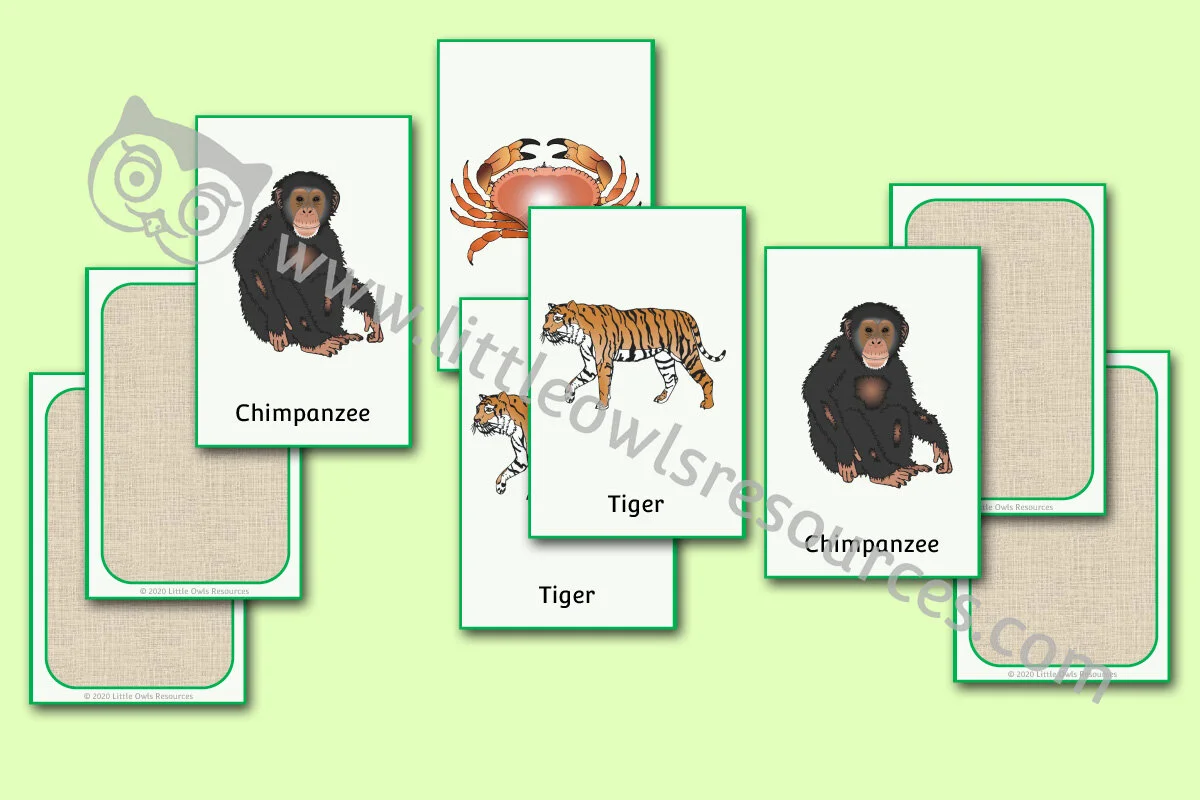 FREE Animals of the World printable Early Years/EY (EYFS) resources ...