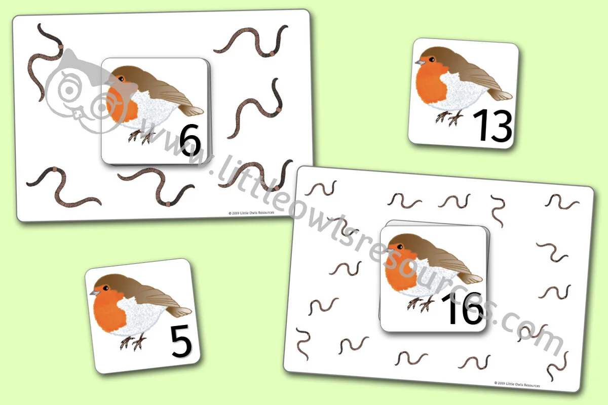 Birds And Worms Activity