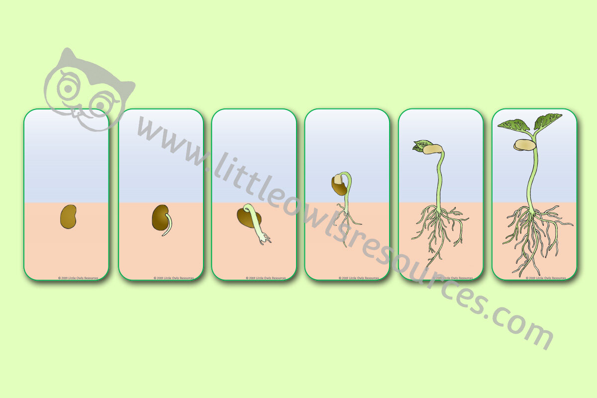 FREE On The Farm printable Early Years/EY (EYFS) resources/downloads ...
