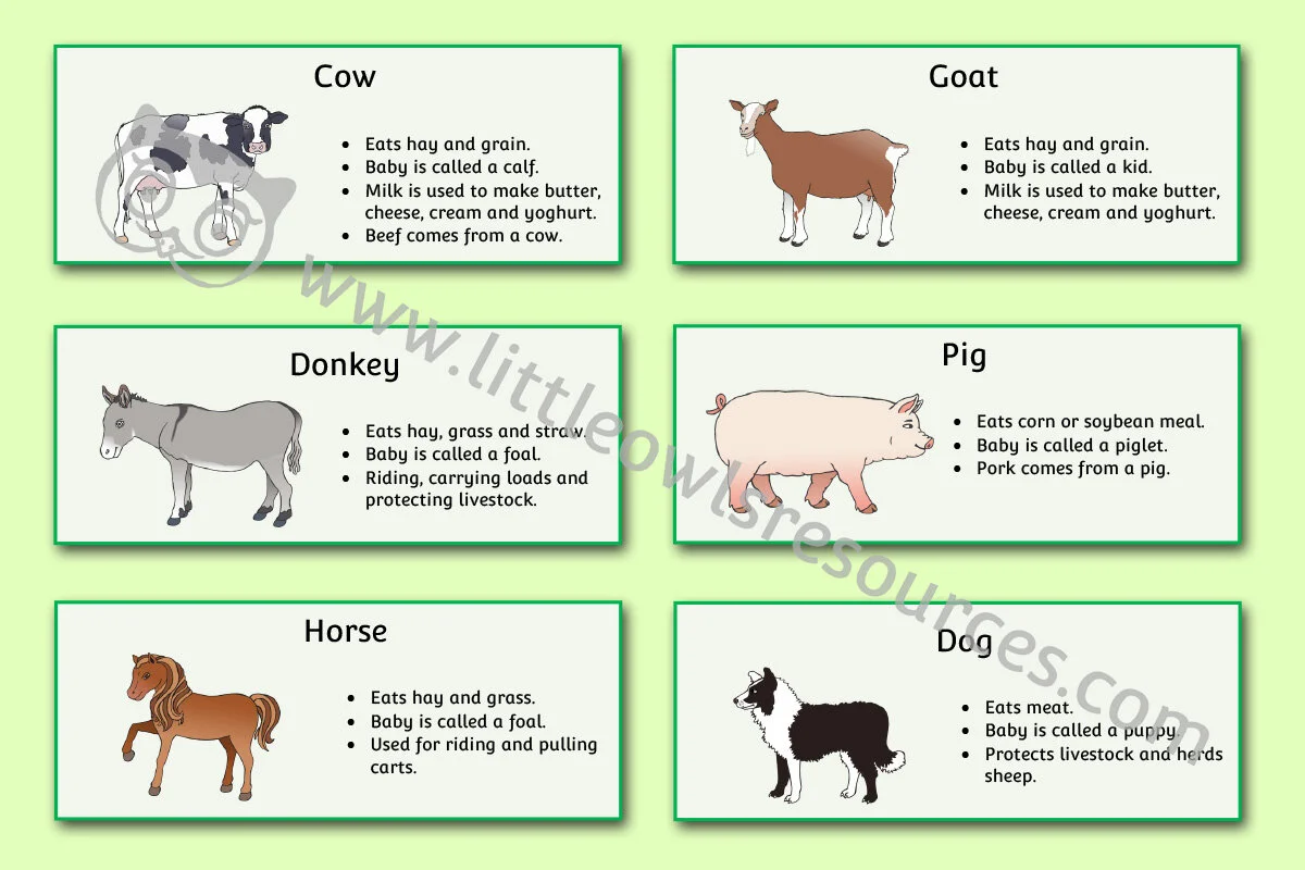 FREE Farm Animals Fact Cards printable Early Years/EY (EYFS) resource ...