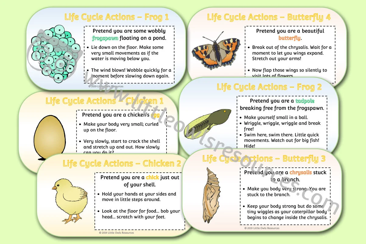 FREE Life Cycles printable Early Years/EY (EYFS) resources/downloads ...