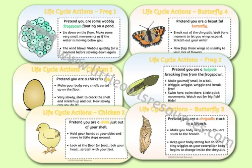 FREE Life Cycles printable Early Years/EYFS/preschool/childminder ...