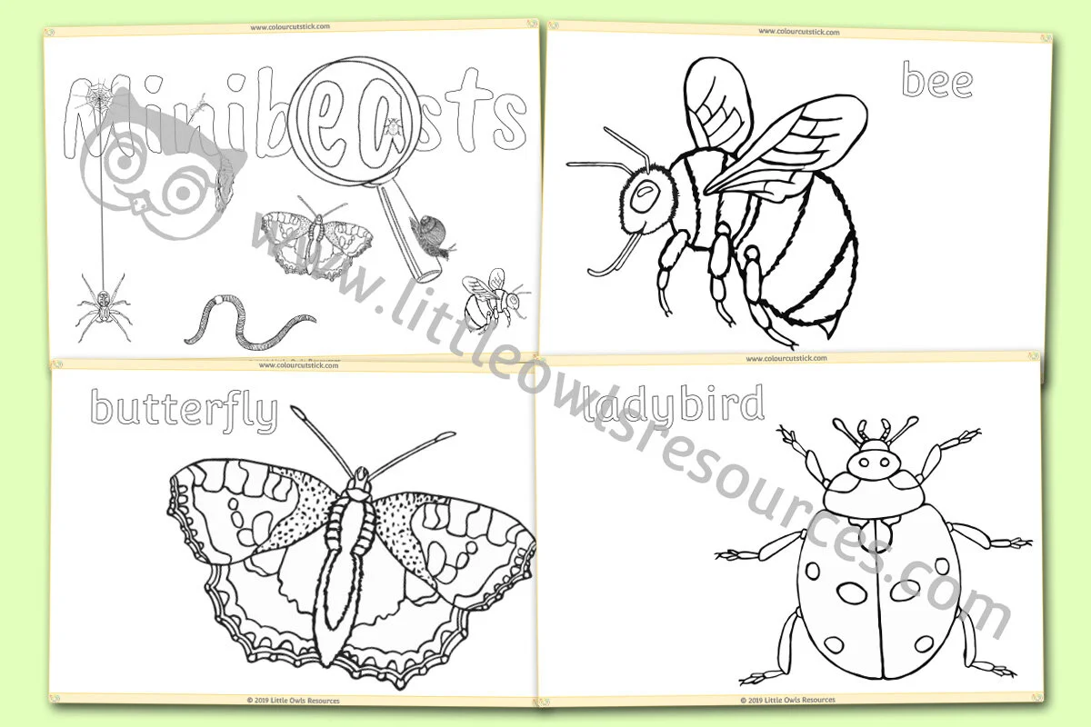FREE Minibeasts Colouring Printable Early Years EY EYFS Resource FREE Minibeasts Colouring Printable Early Years EY EYFS Resource