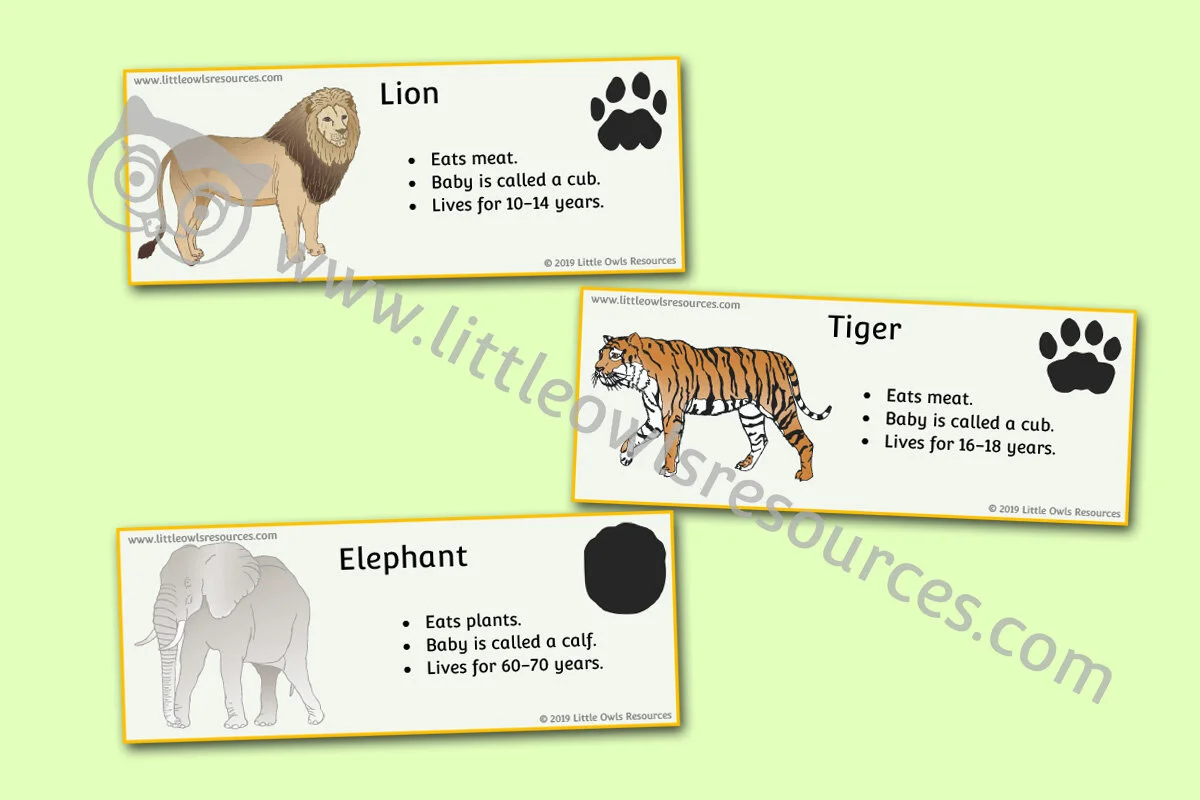 FREE Zoo Animal Fact Cards printable Early Years/EY (EYFS) resource/download — Little Owls ...