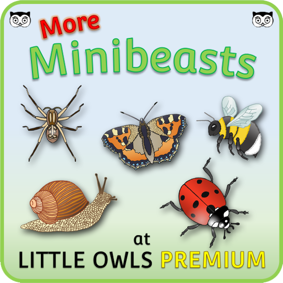 FREE Minibeasts Checklist printable Early Years/EY (EYFS) resource ...
