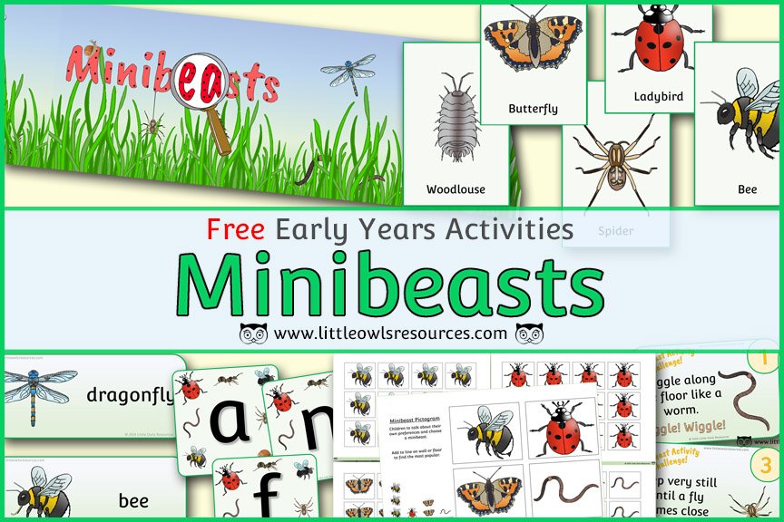 FREE Toys Topic/Theme printable Early Years (EYFS) resources/downloads ...