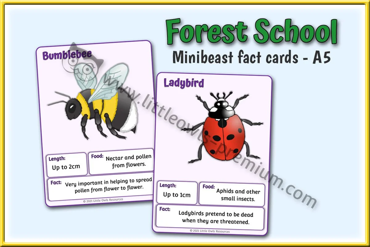 FREE MINIBEASTS printable Early Years/EY (EYFS) resources/downloads ...