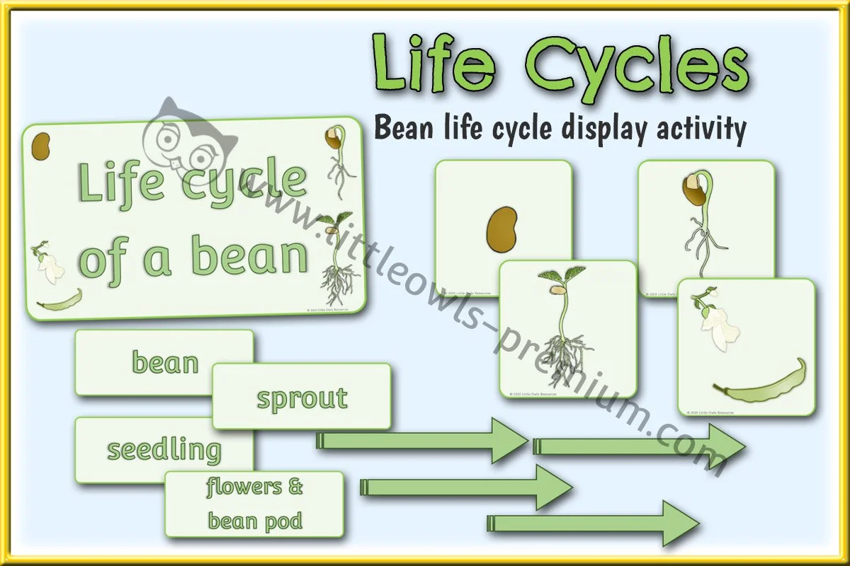 FREE Life Cycles printable Early Years/EY (EYFS) resources/downloads ...