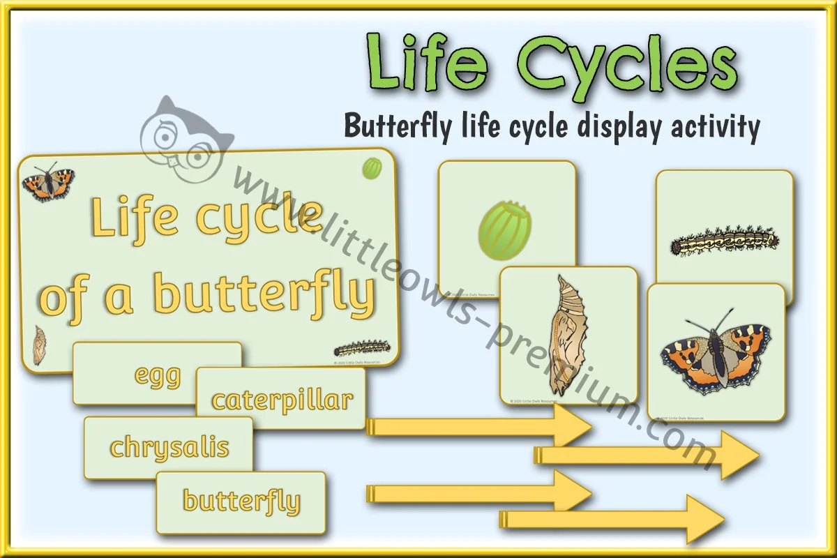 FREE Life Cycles printable Early Years/EY (EYFS) resources/downloads ...