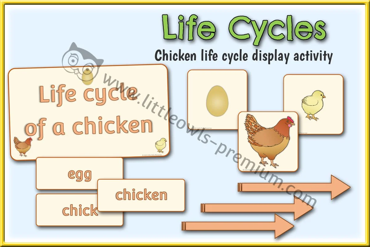 FREE Life Cycles printable Early Years/EY (EYFS) resources/downloads ...