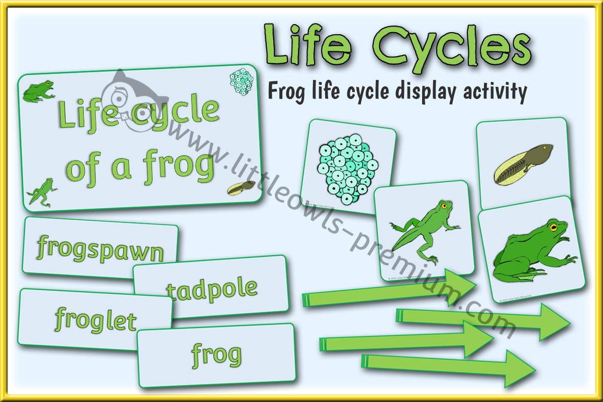 FREE Life Cycles printable Early Years/EY (EYFS) resources/downloads ...
