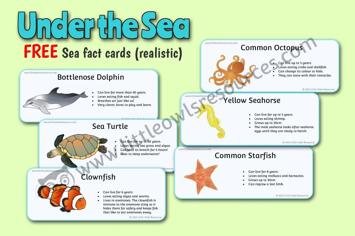 FREE 'Under the Sea' Topic/Sea Animals printable Early Years (EYFS ...