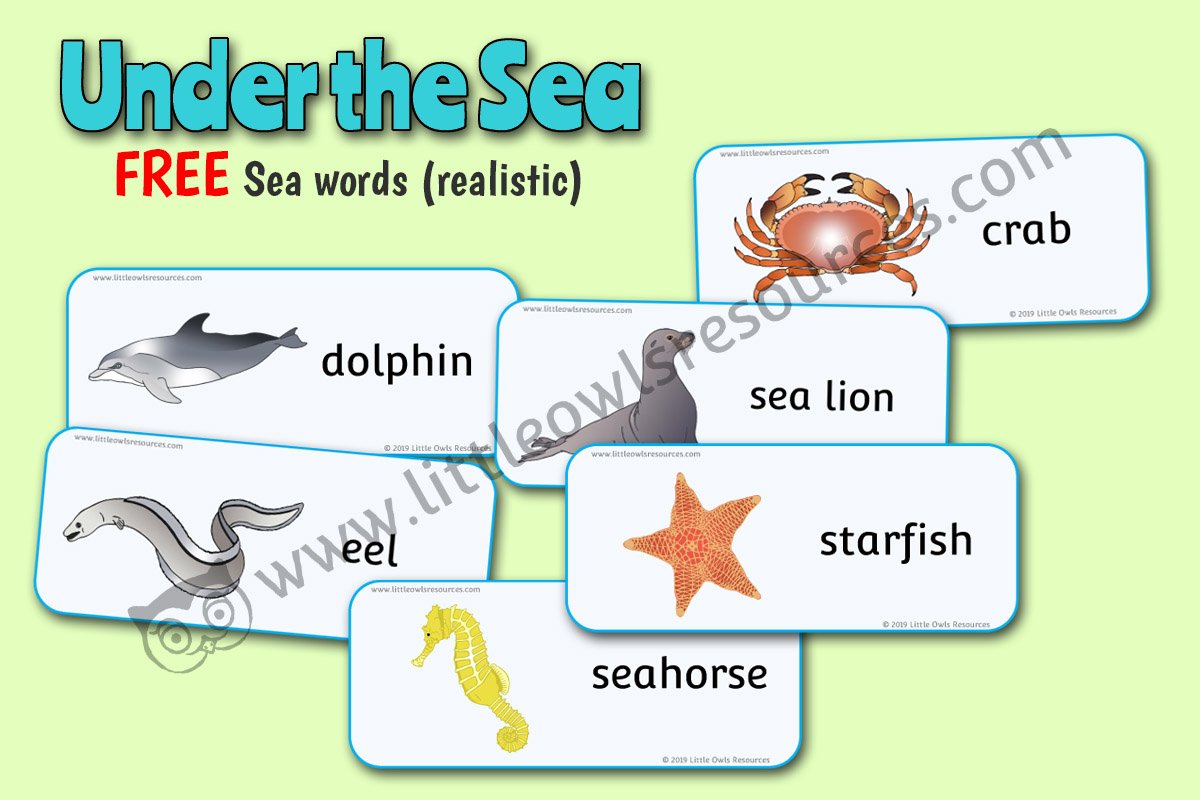 FREE 'Under the Sea' Topic/Sea Animals printable Early Years (EYFS ...