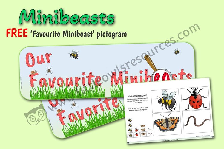 FREE MINIBEASTS printable Early Years/EYFS/preschool/childminder ...